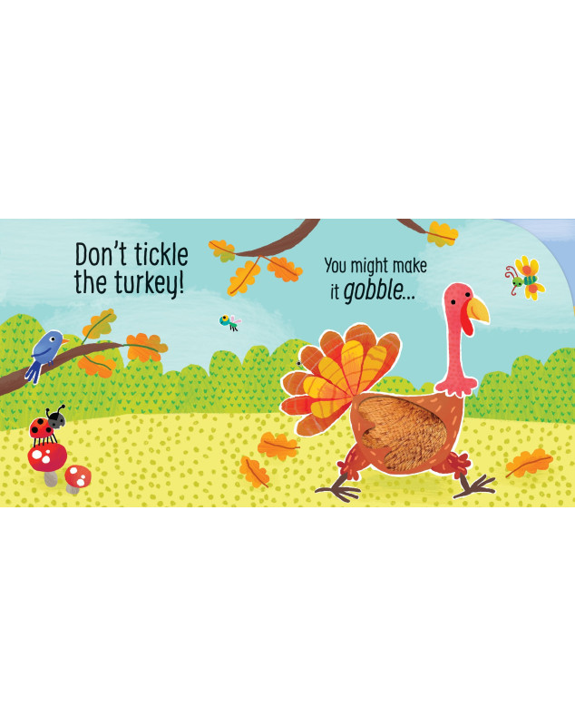 Usborne Don't Tickle the Turkey!